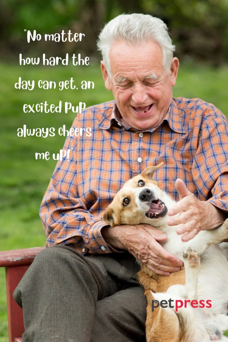 Celebrating Fatherhood: 50+ Heartfelt Dog Dad Quotes - PetPress