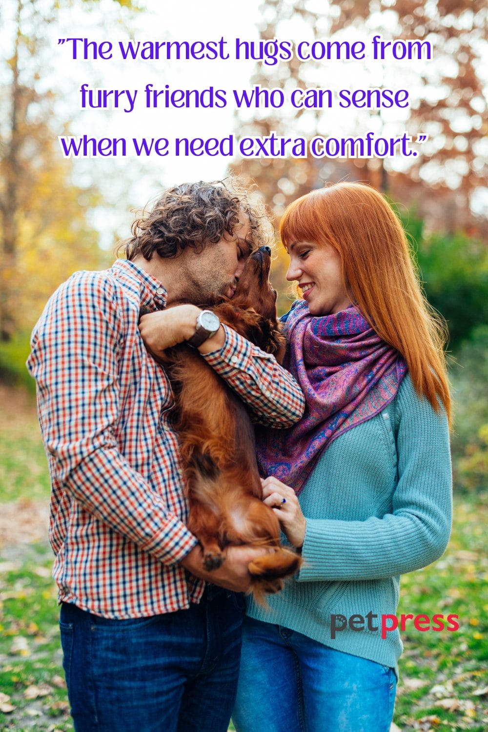 50+ Best Dogs Are Family Quotes on Recognizing Their Loyalty