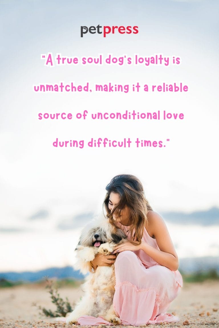 Selfless Love: 50+ Uplifting Soul Dog Quotes - PetPress