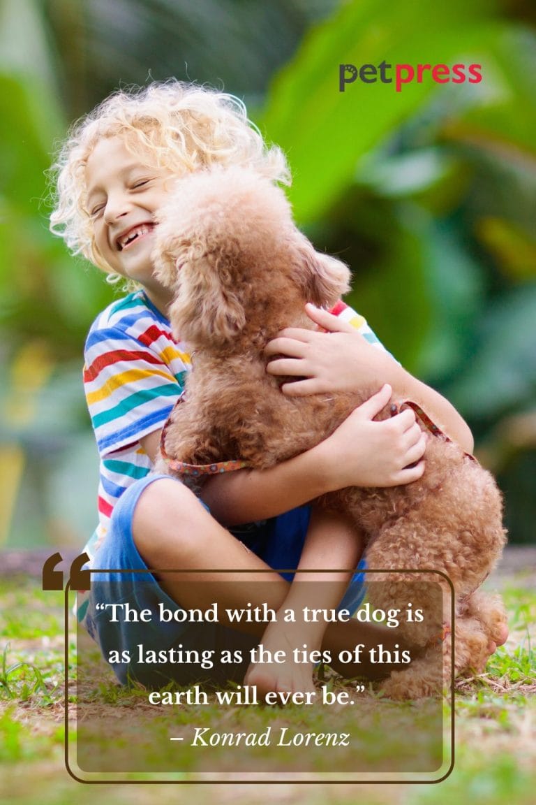 Celebrate Happiness With These 50+ Adorable Puppy Love Quotes