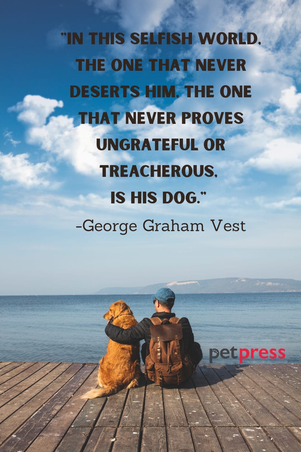 50+ Dog and Human Quotes That Inspire Love and Loyalty
