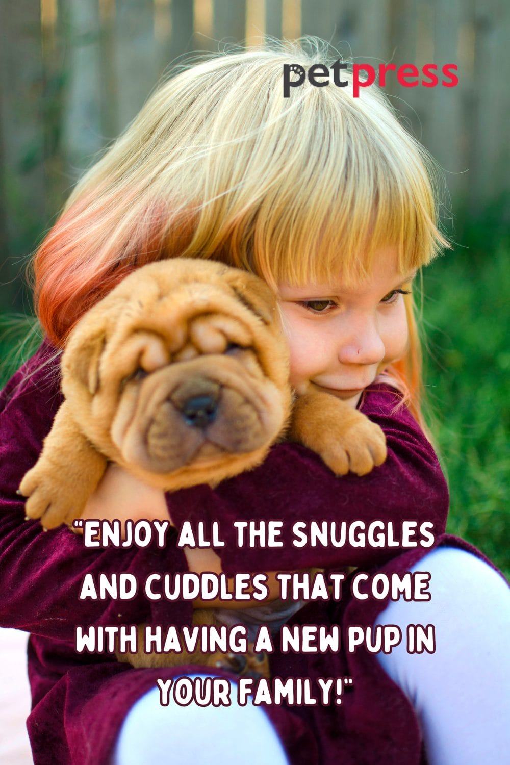 50+ Best and Most Adorable New Puppy Quotes - PetPress