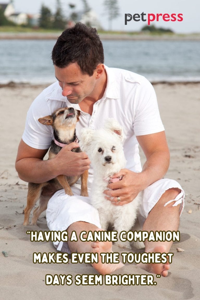 Celebrating Fatherhood: 50+ Heartfelt Dog Dad Quotes - PetPress