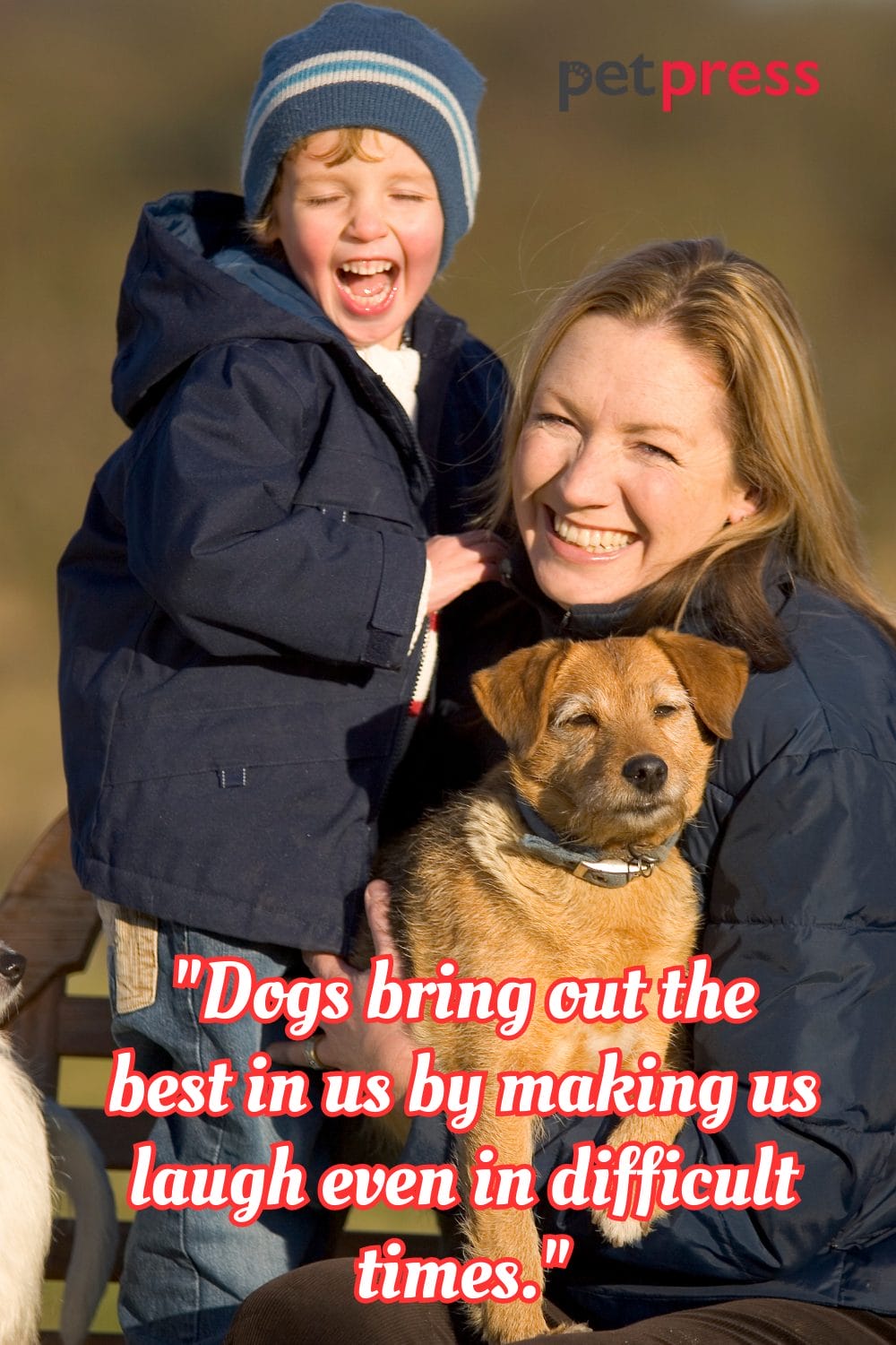 50+ Best Dogs Are Family Quotes on Recognizing Their Loyalty