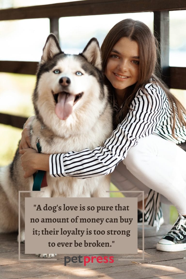 50+ Inspiring Dog Friendship Quotes to Celebrate Your Bond