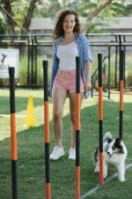 Get Your Dog Movin': 10 Fun Activities to Burn Your Dog's Energy