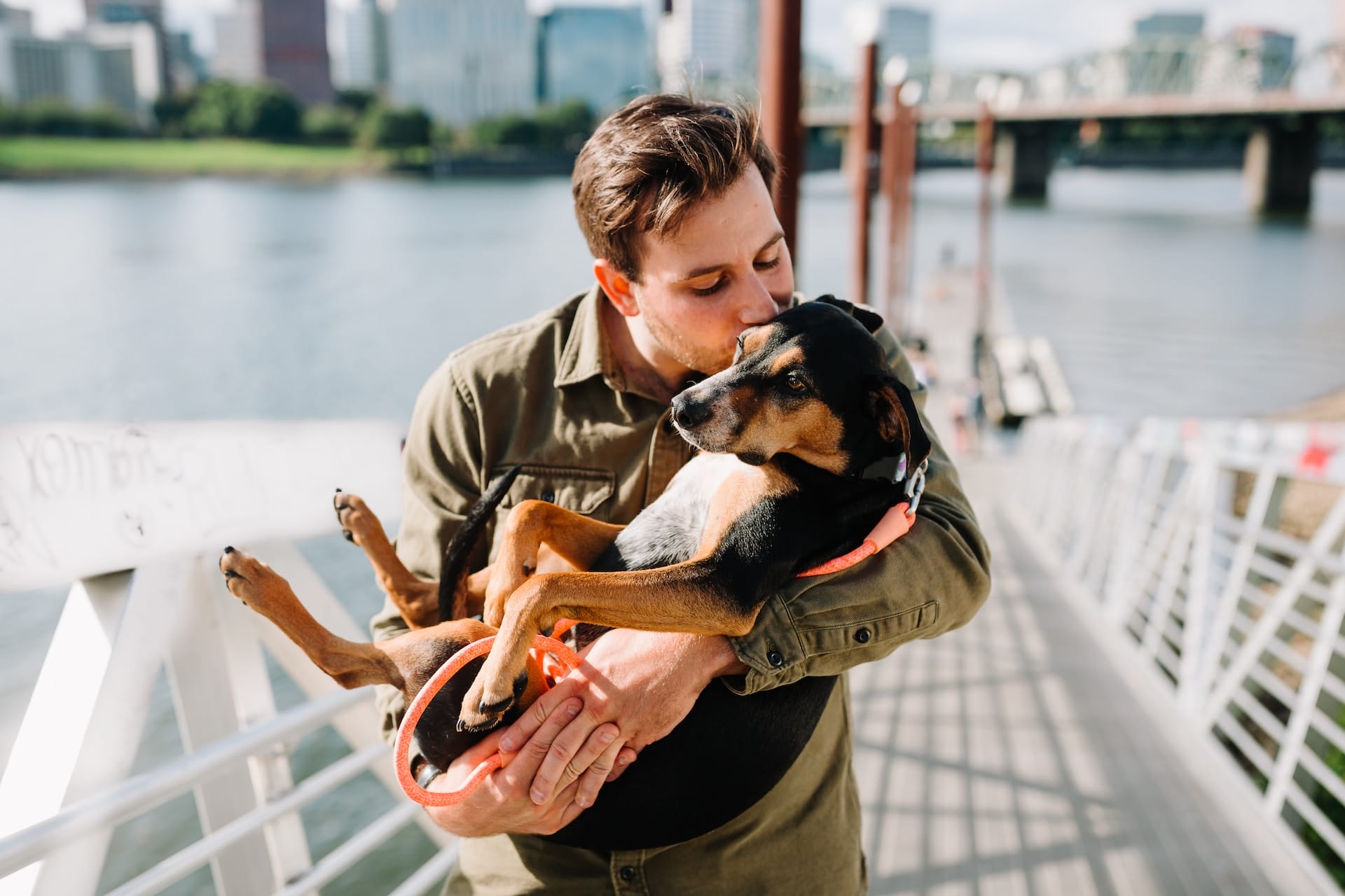 Celebrating Fatherhood: 50+ Heartfelt Dog Dad Quotes - PetPress