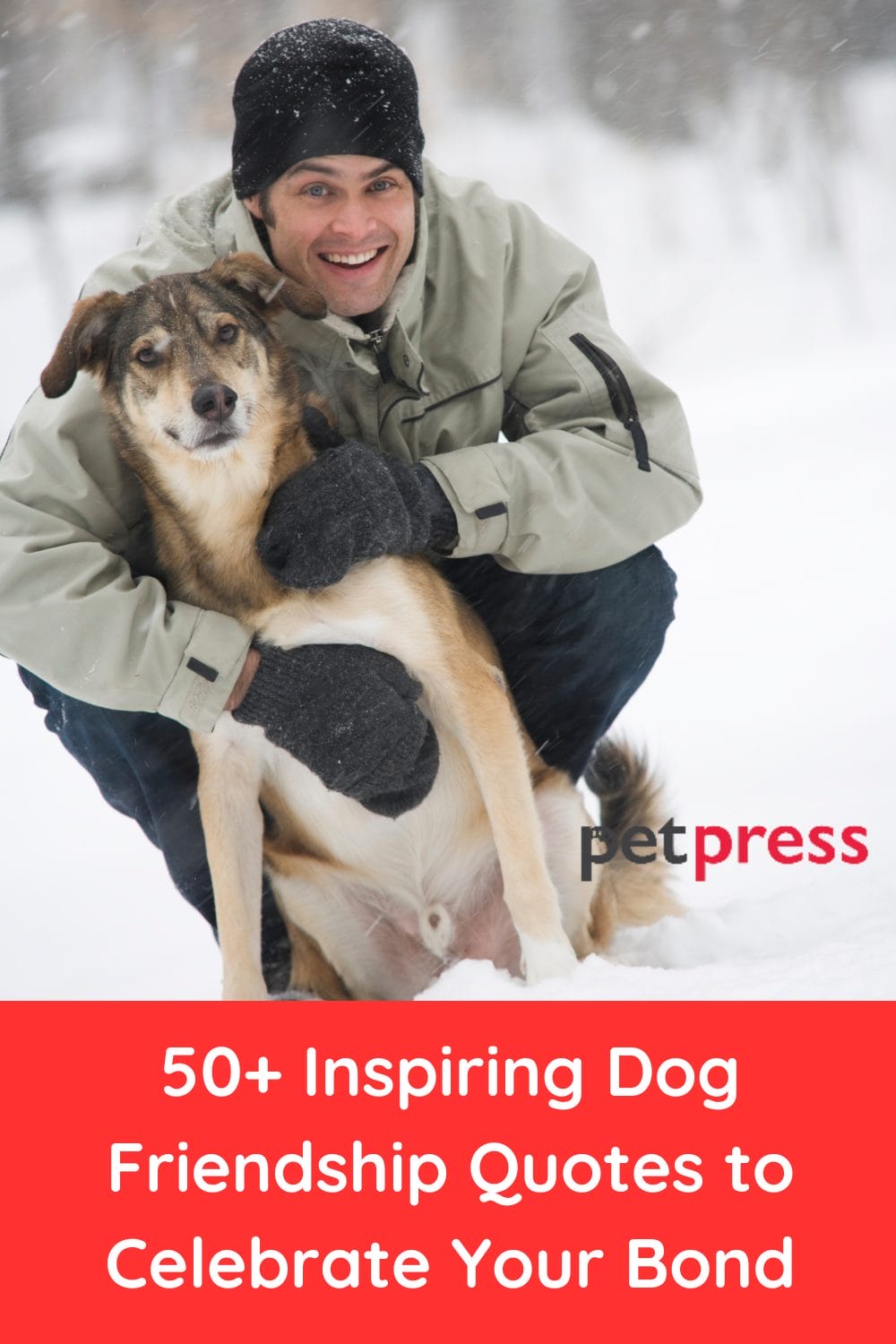 50+ Inspiring Dog Friendship Quotes to Celebrate Your Bond