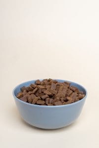 What is Kibble? A Comprehensive Guide to Kibble for Pets