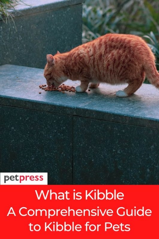 What is Kibble? A Comprehensive Guide to Kibble for Pets