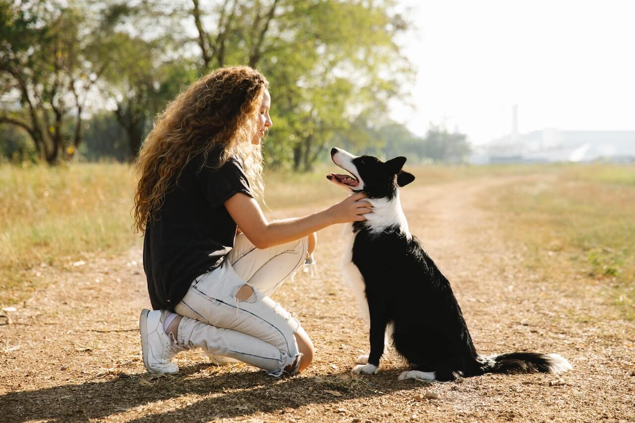 What Is Microchipping for Dogs: Everything You Need To Know