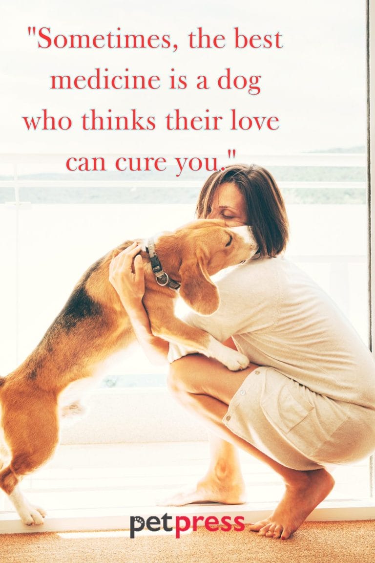 50+ Quotes About a Dog’s Love That Are Full of Wisdom - PetPress
