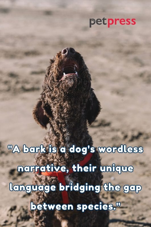Over 50 Best Dog Bark Quotes Collection That Can Inspire You
