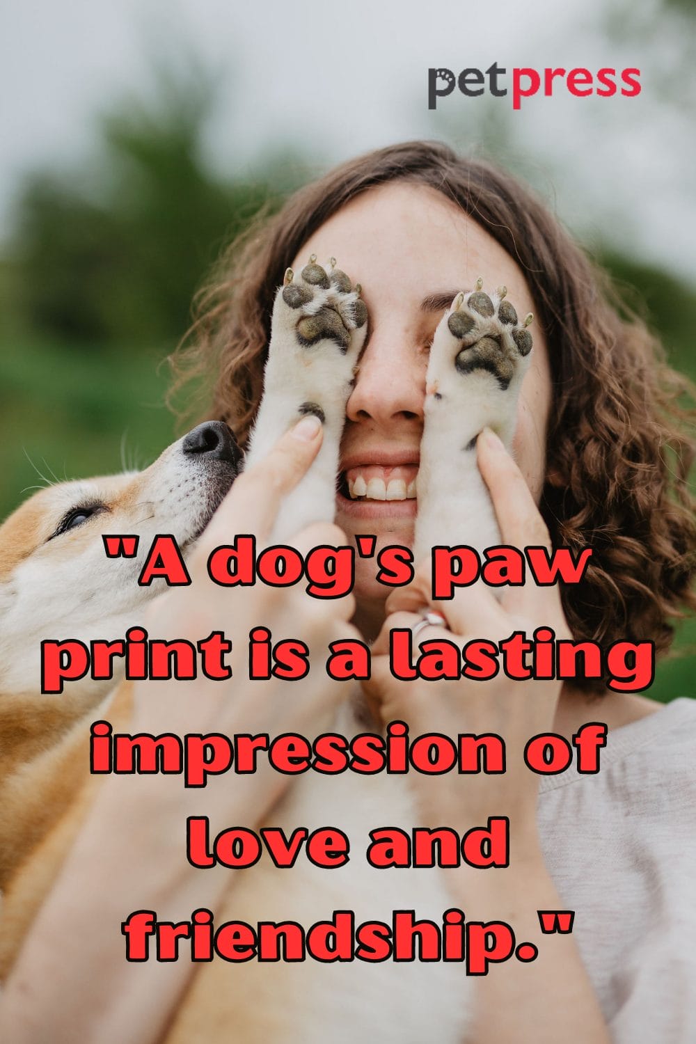 50+ Love Dog Paw Quotes and the Wisdom Embedded Within