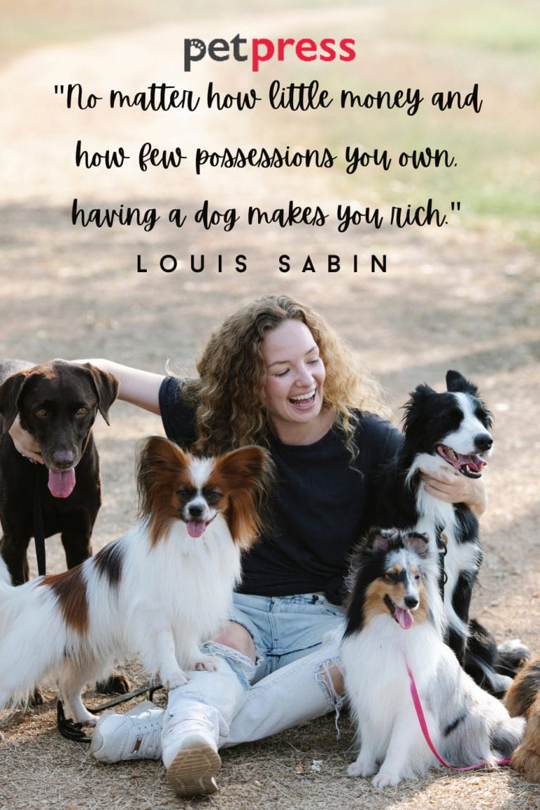 Unleash the 50+ Heartwarming Dog Quotes That Touch the Heart