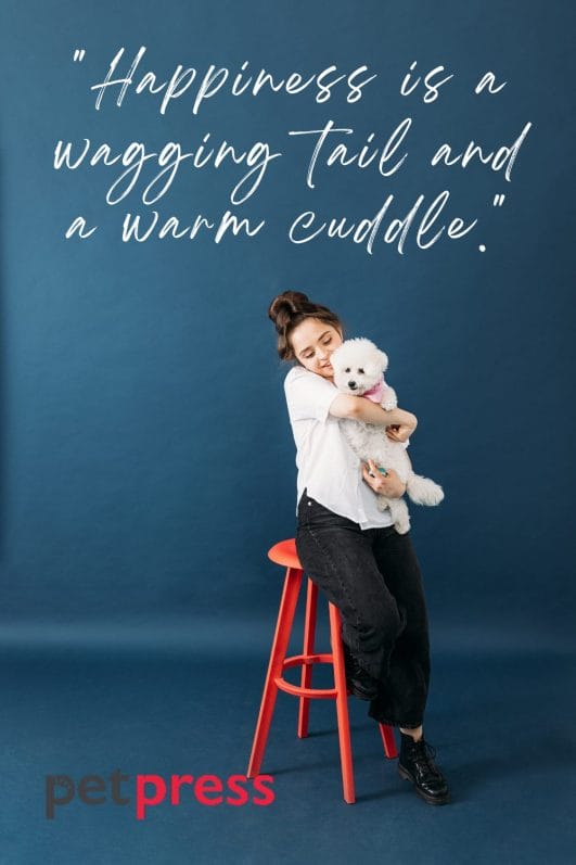50 Fluffy Dog Quotes That Make Your Life Charming and Better