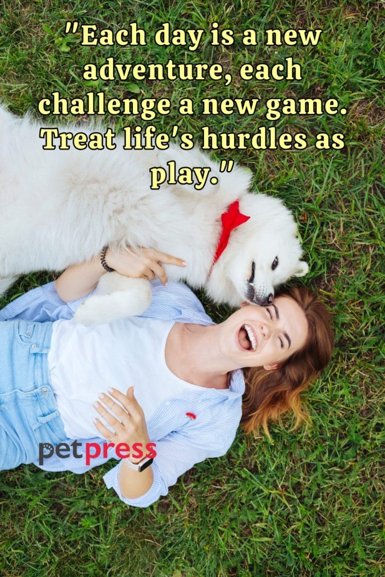 50 Fluffy Dog Quotes That Make Your Life Charming and Better