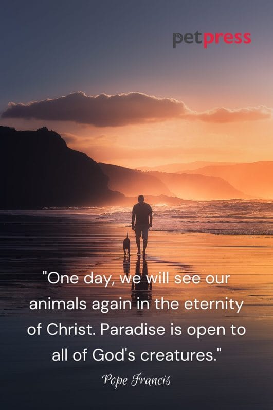 50+ Quotes About a Dog’s Love That Are Full of Wisdom - PetPress