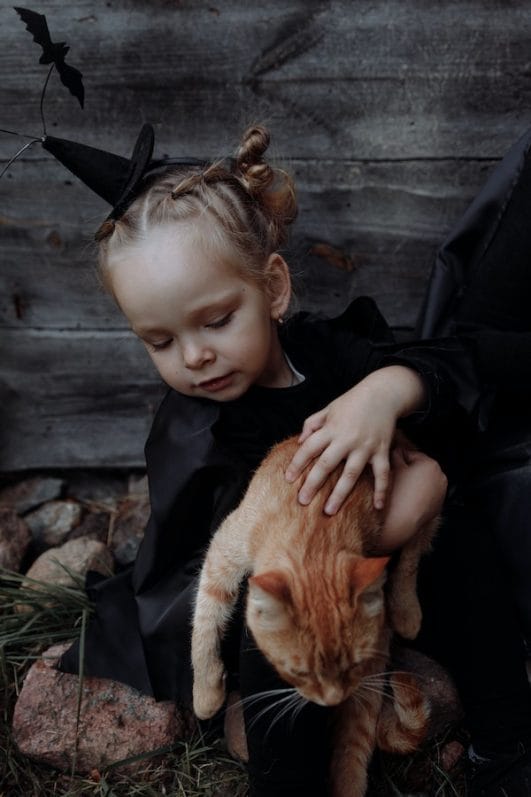 What is a Barn Cat? Unraveling the Charm of Barn Cats