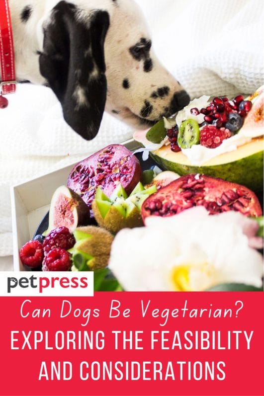 Can Dogs Be Vegetarian? Exploring the Feasibility And More