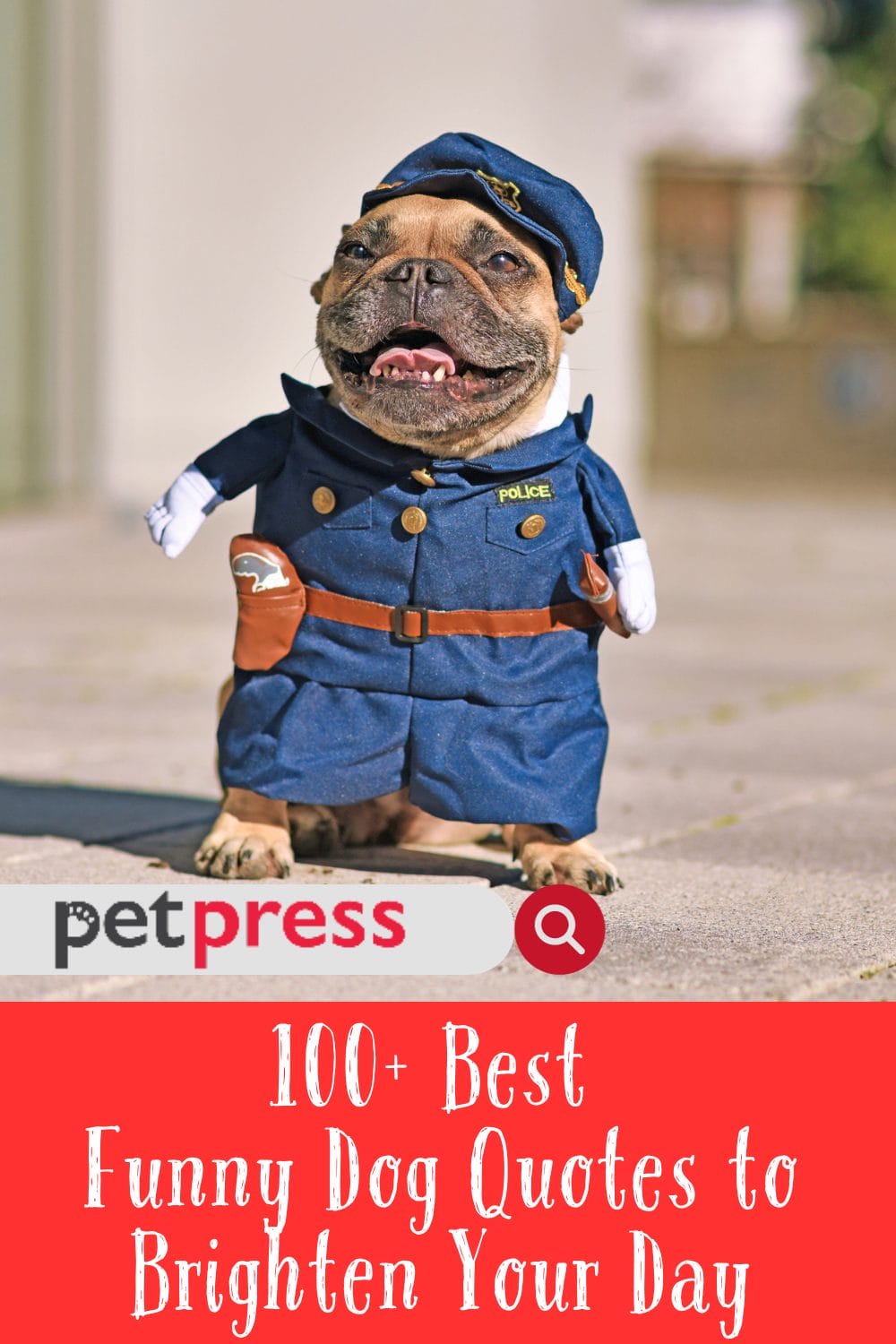 100+ Best Funny Dog Quotes to Brighten Your Day