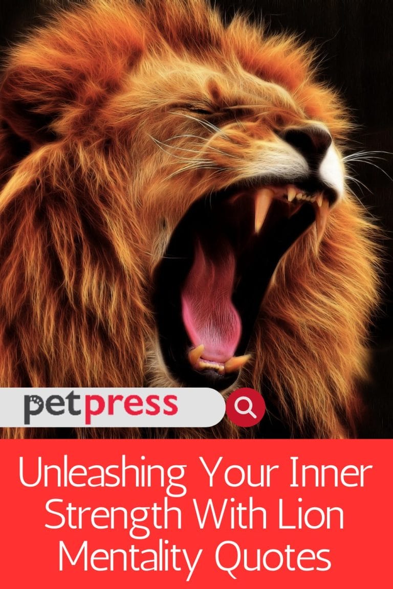 Unleashing Your Inner Strength With Lion Mentality Quotes