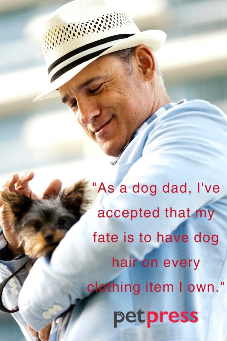 100+ Funny Dog Dad Quotes: A Blend of Humor and Loyalty