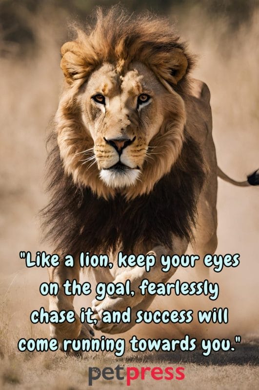 Unleashing Your Inner Strength With Lion Mentality Quotes