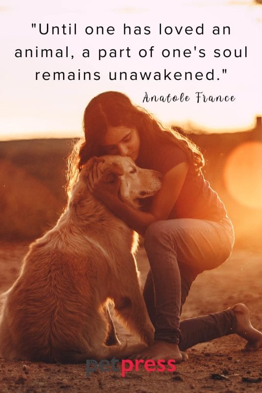 In Their Eyes: Top 50 Quotes on Showing Kindness to Animals