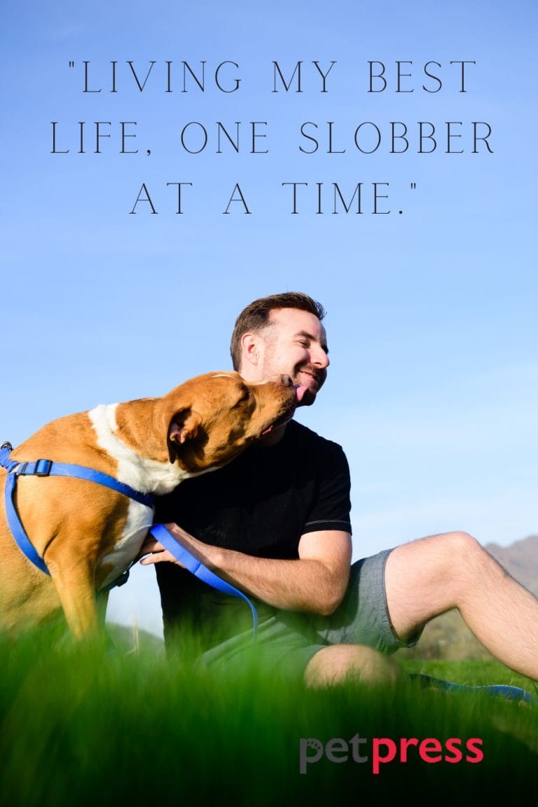 Canine Comedy: Top 150 Funny Dog Captions for Instagram