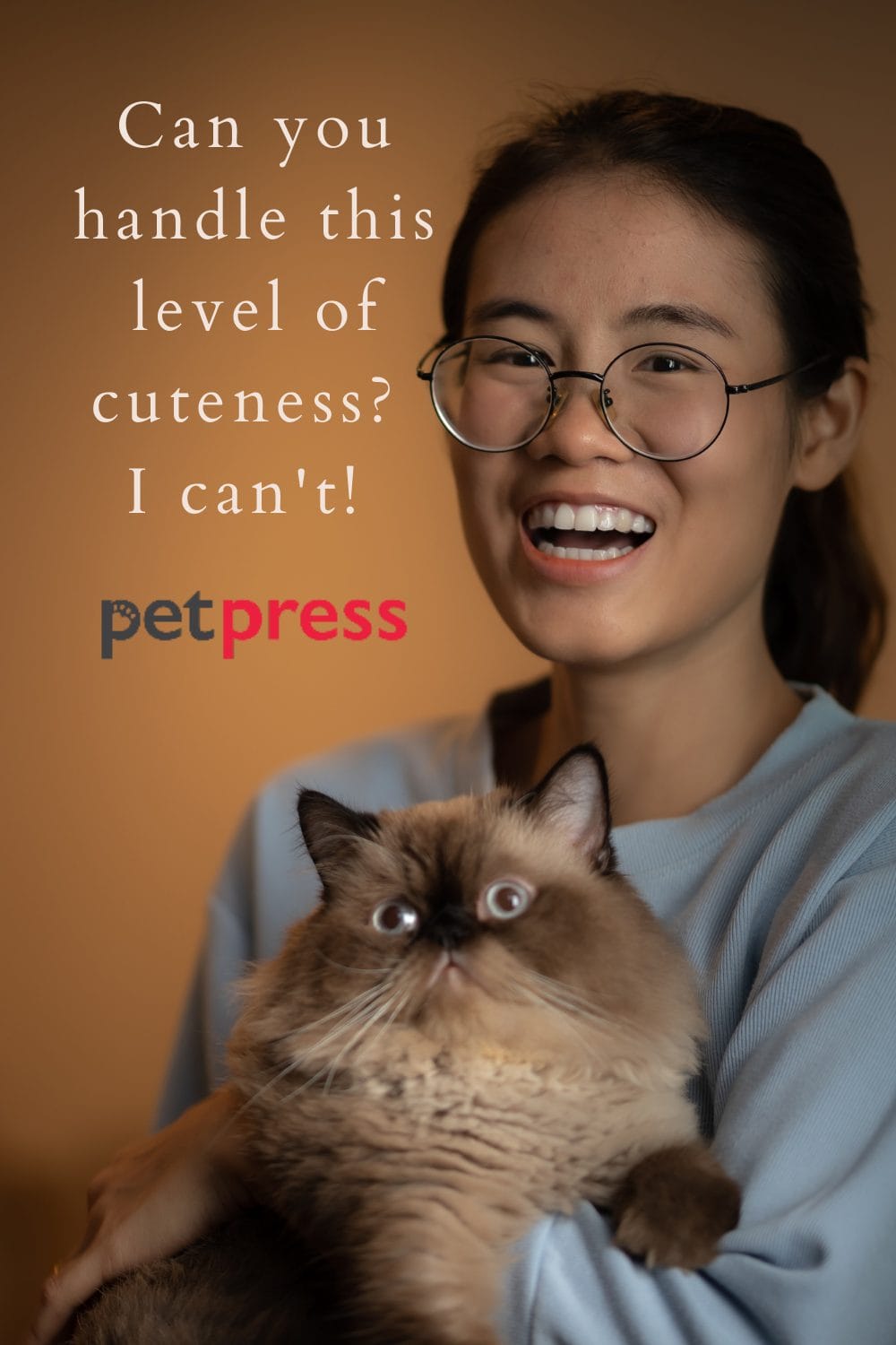150 Captivating Captions For Cat Lovers That Express Affection