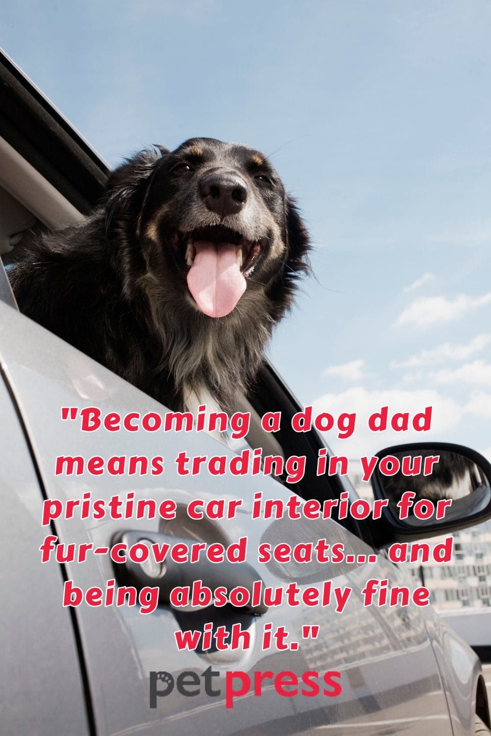 100+ Funny Dog Dad Quotes: A Blend of Humor and Loyalty
