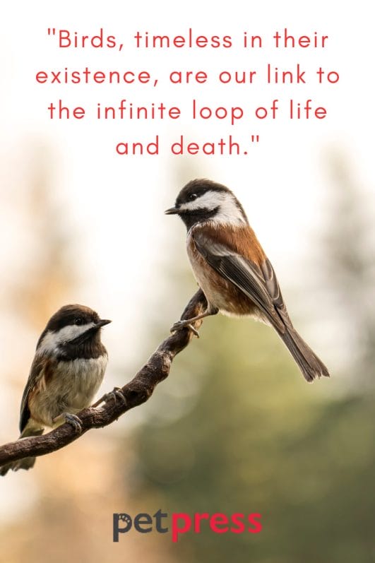 50 Bird Tombstone Quotes: A Flight Into the Wisdom of Life