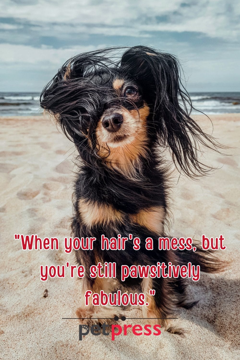 Canine Comedy: Top 150 Funny Dog Captions for Instagram