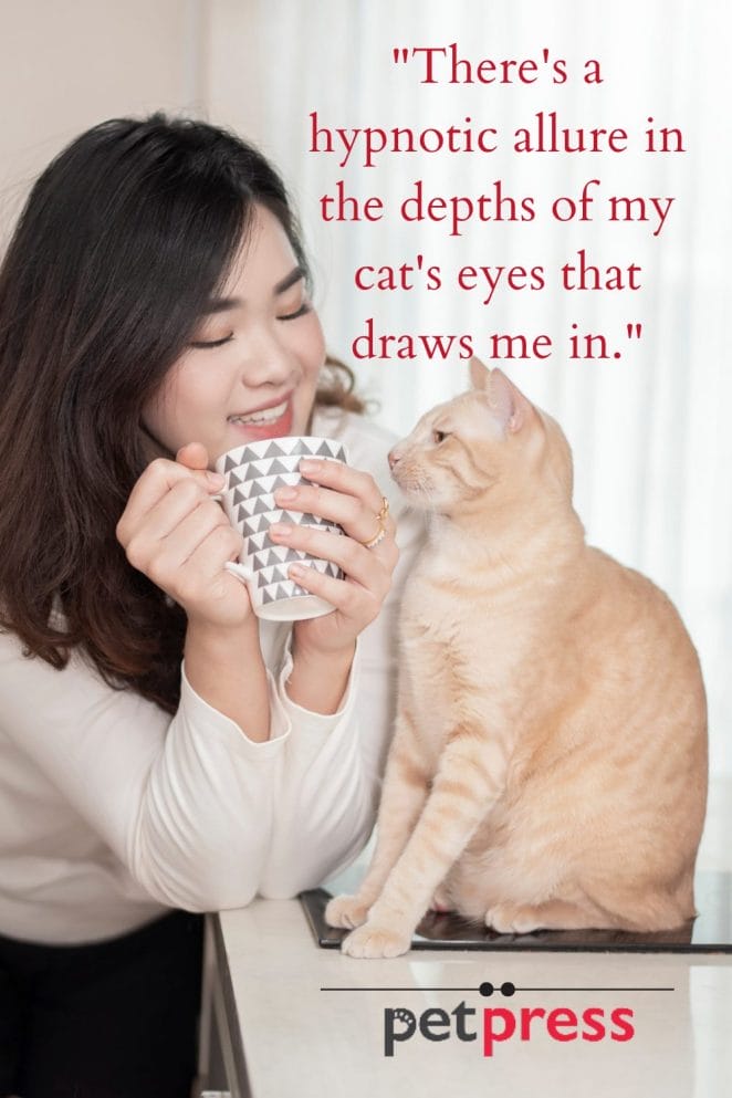 150 Captivating Captions For Cat Lovers That Express Affection