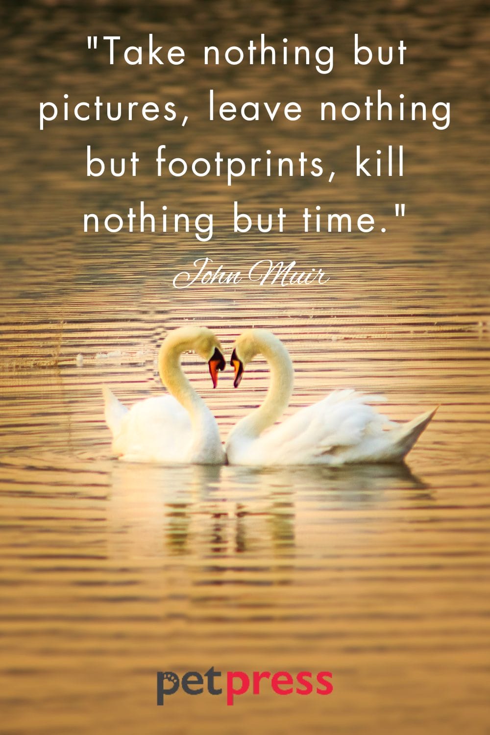 In Their Eyes: Top 50 Quotes on Showing Kindness to Animals