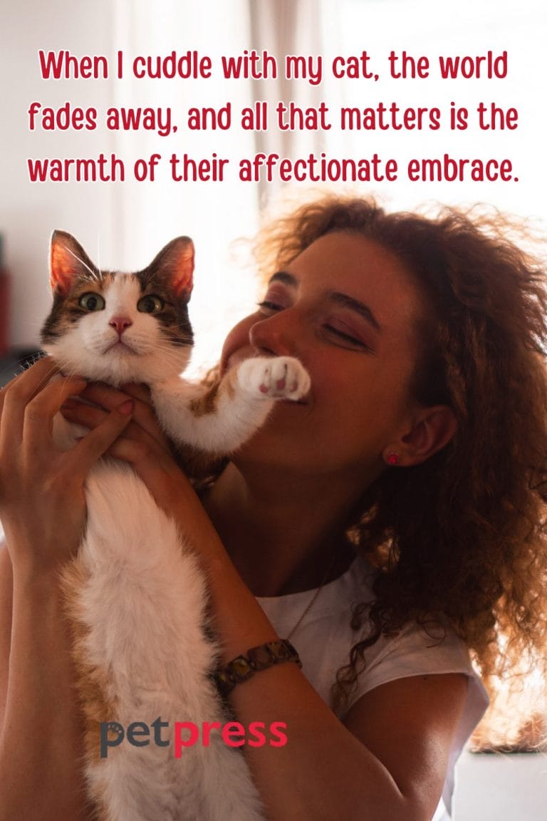 150+ Captivating Captions for Cat Lovers That Express Affection