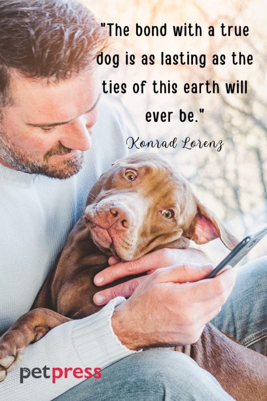In Their Eyes: Top 50 Quotes on Showing Kindness to Animals