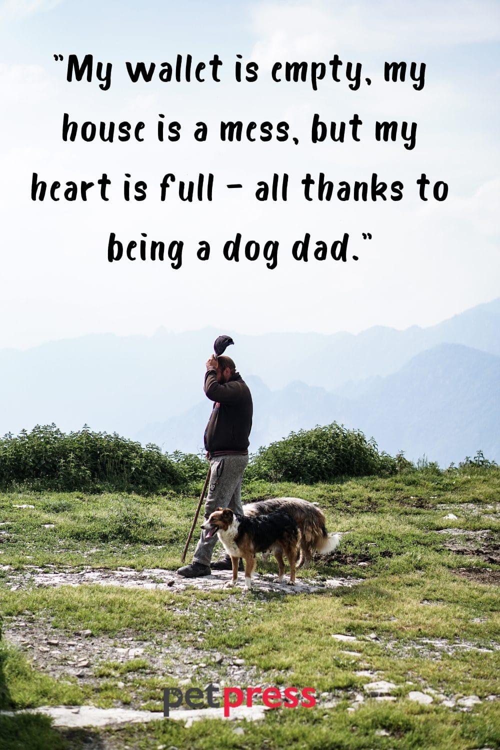 100+ Funny Dog Dad Quotes: A Blend of Humor and Loyalty