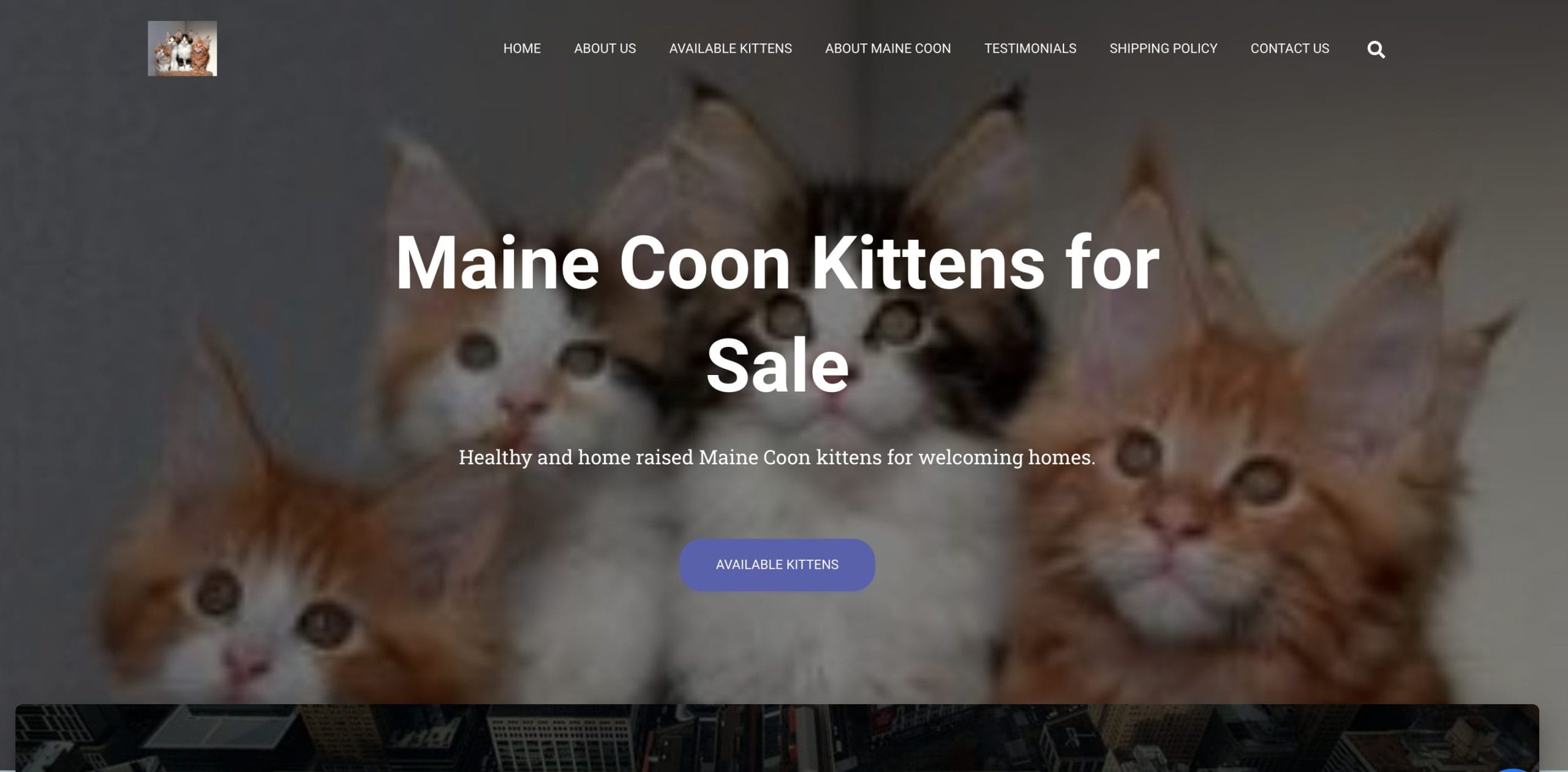 Megan Maine Coon Home - PetPress