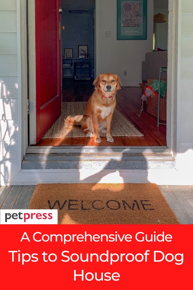 A Comprehensive Guide: Tips to Soundproof Dog House