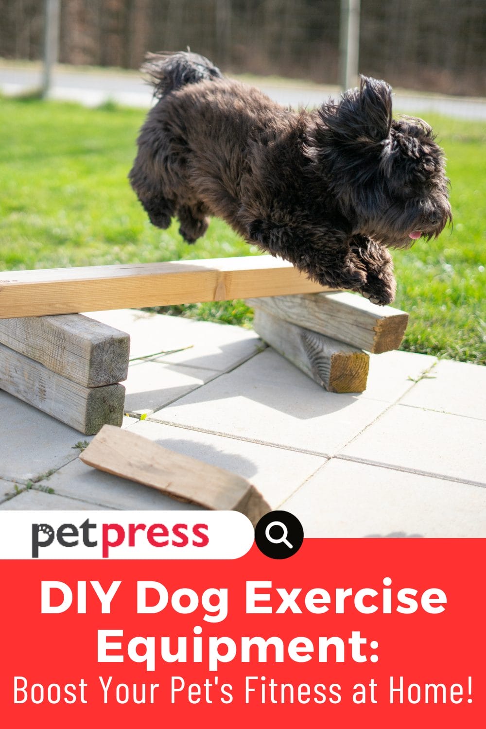 DIY Dog Exercise Equipment: Boost Your Pet's Fitness at Home!