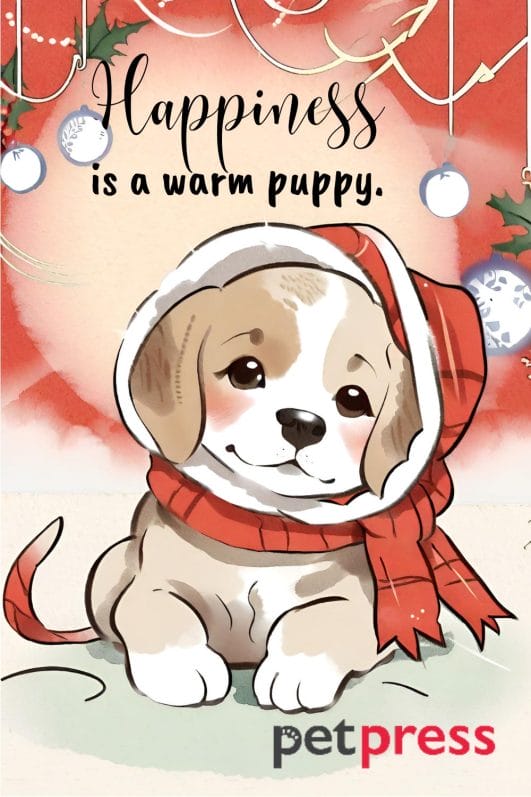 85 Dog Christmas Card Quotes: Bringing Happiness This Season
