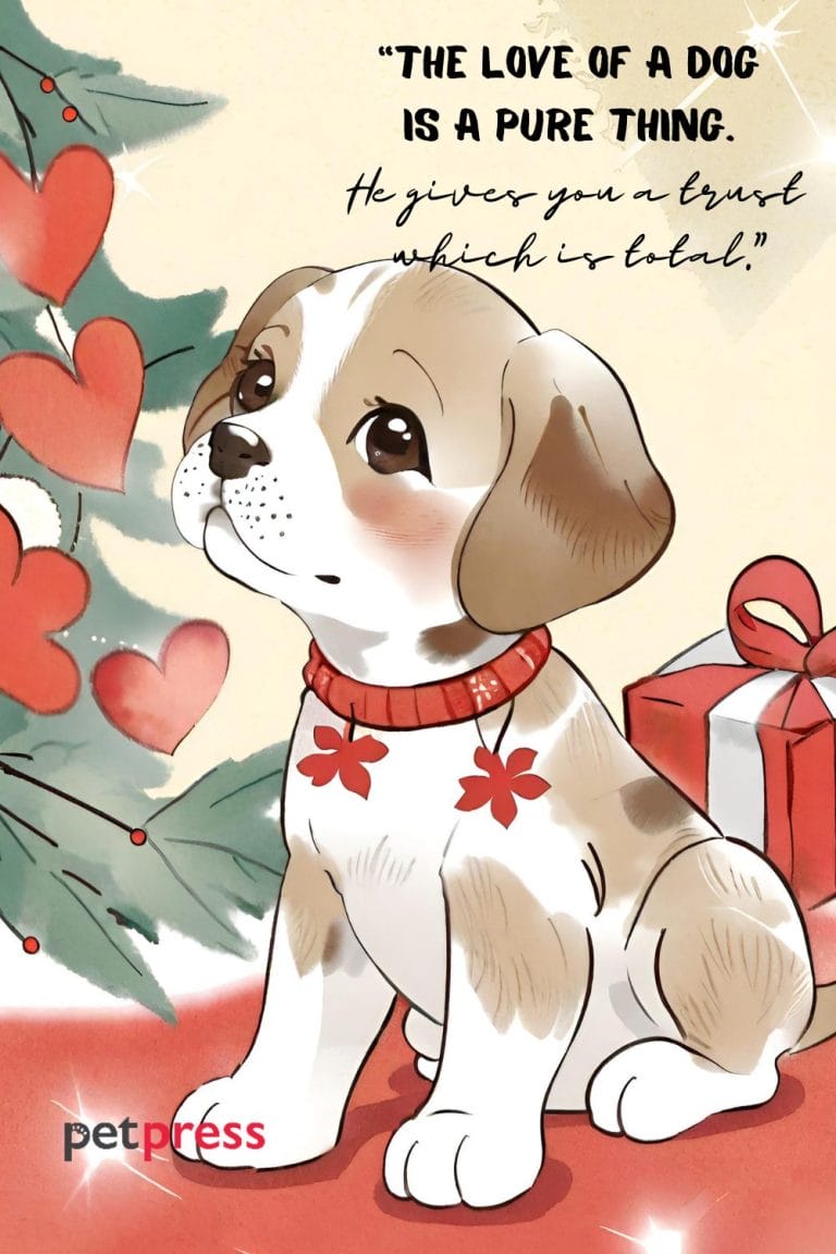 85 Dog Christmas Card Quotes: Bringing Happiness This Season