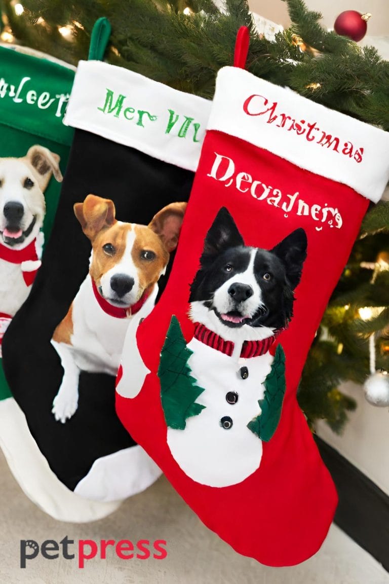 10 Insanely Adorable Dog Christmas Decorations You Must Get