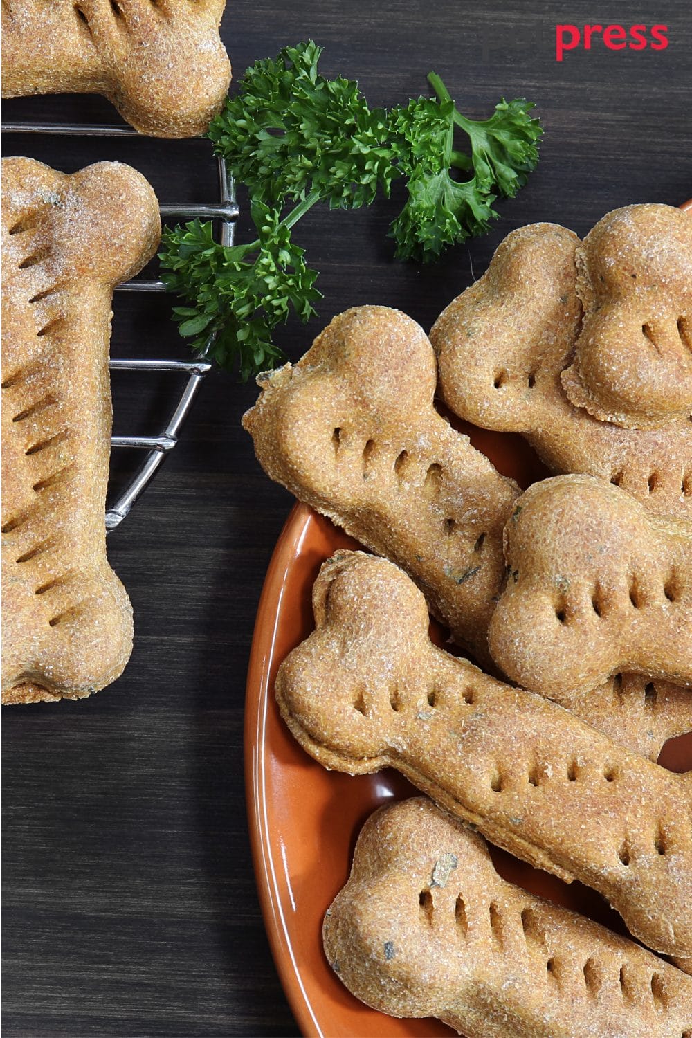 Best Dog Christmas Recipes: Discover the Ultimate Festive Treats!
