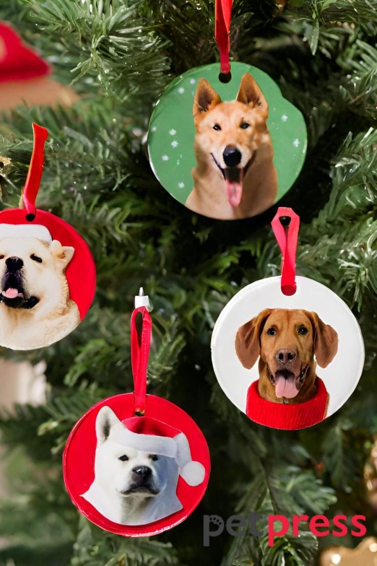 10 Insanely Adorable Dog Christmas Decorations You Must Get