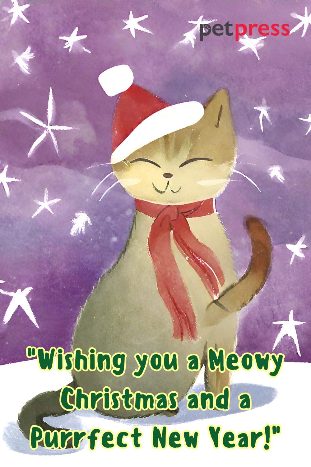 85 Hilarious & Festive Phrases for Cat Christmas Card Quotes