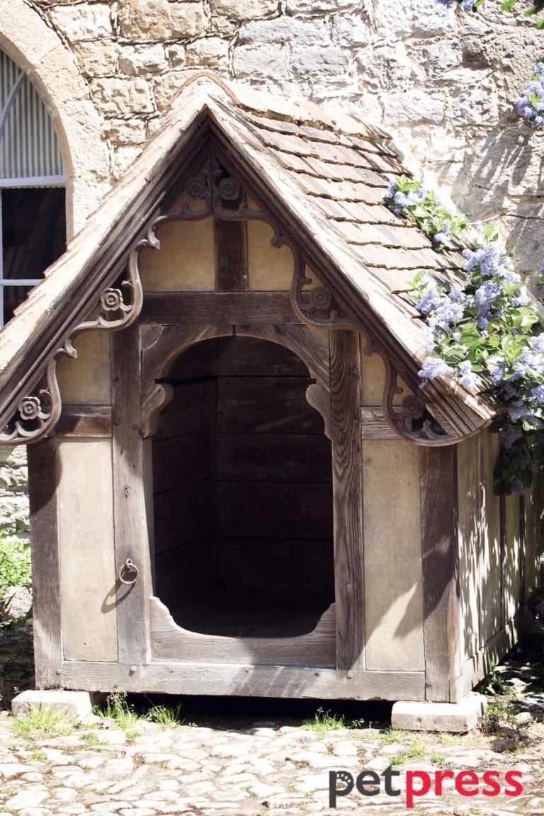 Build the Perfect Oasis: DIY Dog House Outdoors Guide! - PetPress