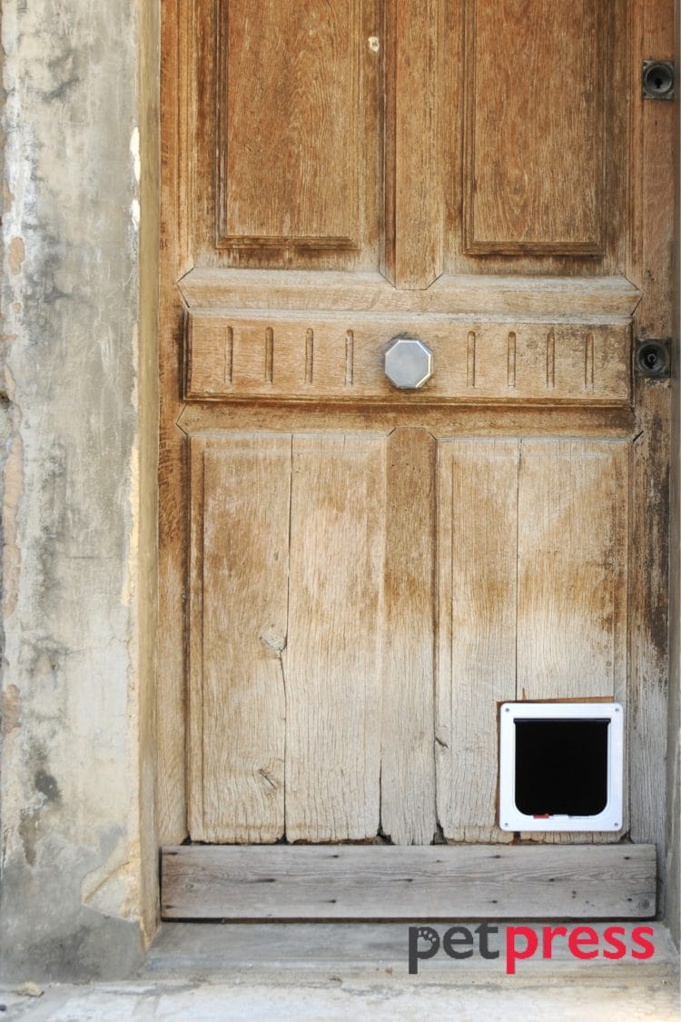 DIY Dog House Door Flap: Unlock the Cozy Living for Your Pup - PetPress